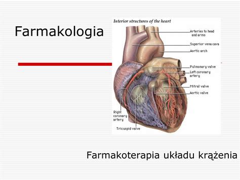 08 Leki w niewydolności krążenia