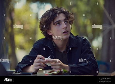 Timothée chalamet lady bird Fotos und Bildmaterial in hoher Auflösung