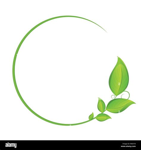 Círculo de hojas Imágenes vectoriales de stock Alamy
