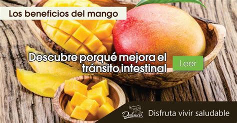 Mango Beneficios y propiedades Mejora el tránsito intestinal