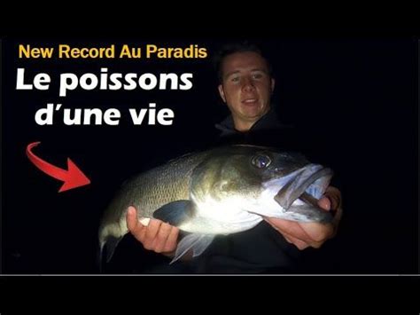 Doubl D Normes Bars Au Leurre Du Bord De Mer Les Poissons D Une
