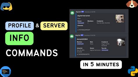 User Profile And Server Info Commands Discord Nextcord Tutorial