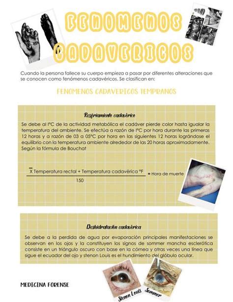 FENOMENOS CADAVERICOS Study Delangel UDocz