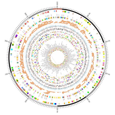 Tutorial Images Circos Circular Genome Data Visualization