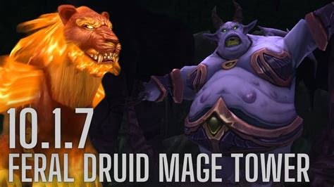 Feral Druid Mage Tower An Impossible Foe World Of Warcraft 10 1 7