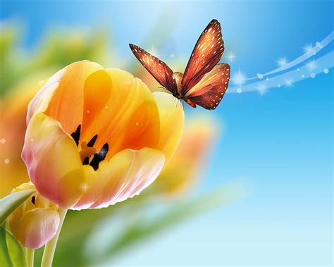 Beautiful Hd Tulip Flower Pictures Best Flower Site