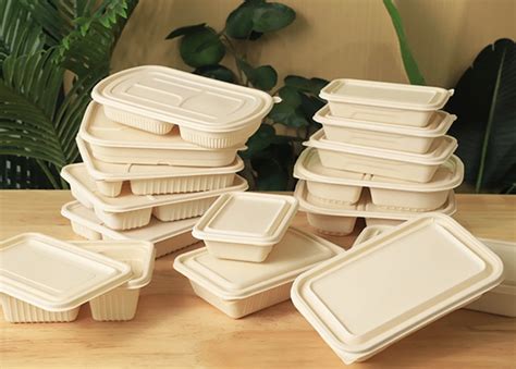 Disposable Plastic Microwavable Take Away Lunch Box Biodegradable 5