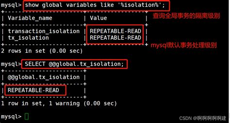 mysql事务 csdn博客
