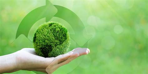 Qué es un Sistema de Gestión Medioambiental Sinergias Empresariales
