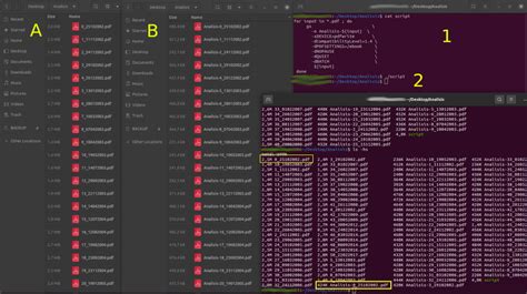 multiple pdf files to reduce their size using ubuntu ghostscript serg vergara y la informática