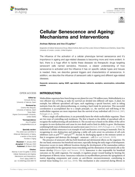 PDF Cellular Senescence And Ageing Mechanisms And Interventions