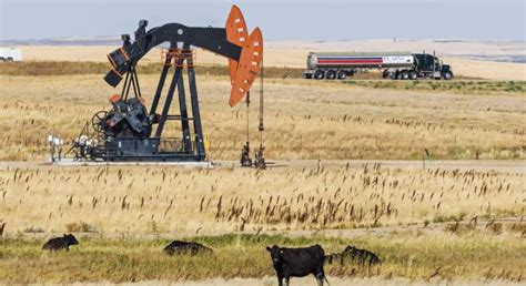 El petróleo de Texas baja un 7 9 y cierra en 95 84 dólares el barril