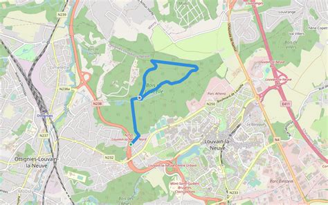 Walk In Ottignies Louvain La Neuve N 4 Bois De Lauzelle Trail