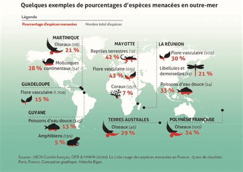 2430 espèces menacées en France selon la Liste rouge que faire BL
