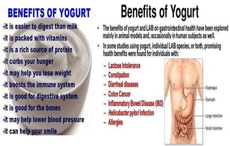 10 Health Benefits Of Yogurt Ideas Yogurt Benefits Yogurt Health