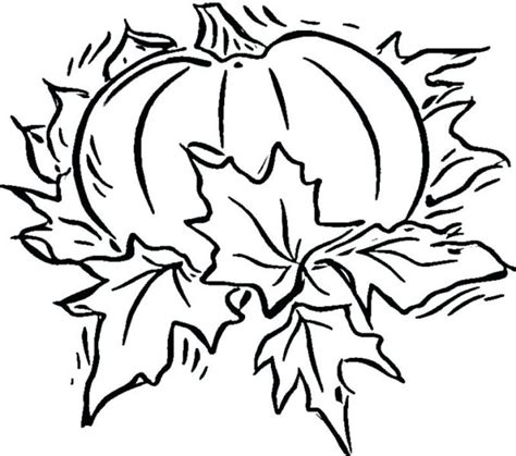 Blank Coloring Pages For Adults At Getcolorings Free Printable