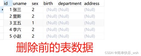 postman连接mysql数据库工具 xmysql apipost连接数据库 csdn博客
