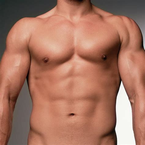 All 92 Images Where Is The Torso On The Body Stunning
