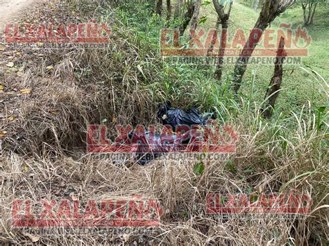Macabro Hallazgo Dejan Abandonados Cuerpos Embolsados En Acayucan