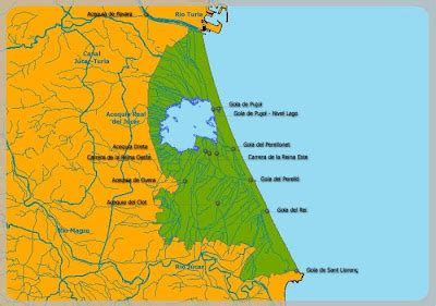 Un ciutadà qualsevol La palla de l arròs i l Albufera de València
