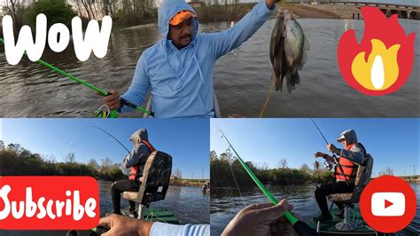 Pesca De Crappies En El Bote El Perico YouTube