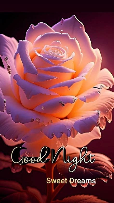 Pin By Rajkiran On Good Night Good Night Flowers Good Night Sweet
