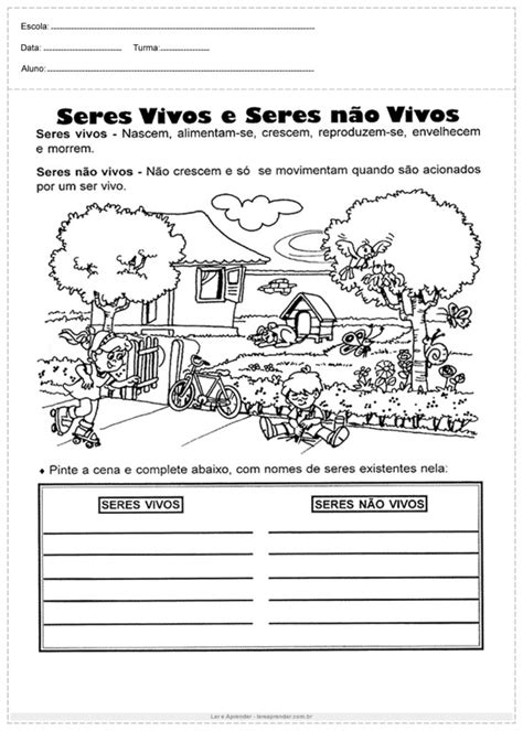 Atividades De Ci Ncias Ano Atividades Educativas Ler E Aprender