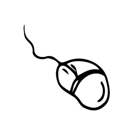 Premium Vector Computer Mouse Coordinate Device For Cursor Control