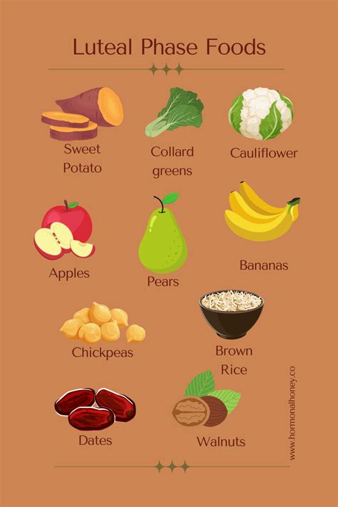 Foods To Eat In The Luteal Phase Cycle Syncing Food Plan Hormonal