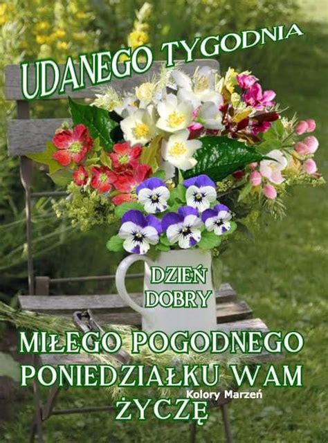 Pin by Małgorzata Klimek on Pomysły do ogrodu in 2024