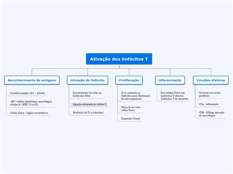 Ativa O Dos Linf Citos T Mapa Mental