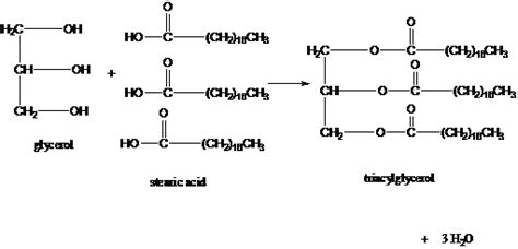 Solved Draw The Condensed Structural Formula Of A Triacylglycerol