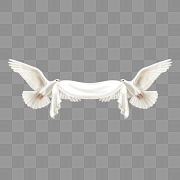 Peace Dove Hd Transparent Two Hand Painted White Peace Doves Flying