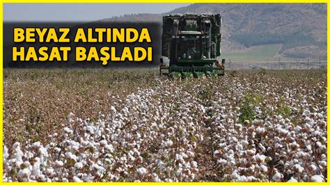 Gaziantep Te Pamuk Hasad Ba Lad Youtube