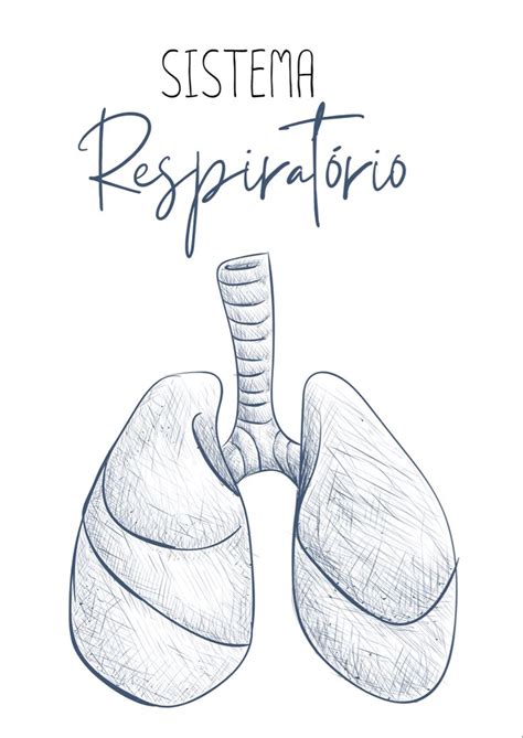 Sistema Respiratório Sistema respiratório Respiratório Material de