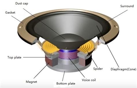 How Speakers Work And Parts Of A Speaker Complete Guide