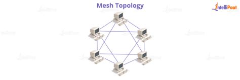 What Is Network Topology Definition Types And Advantages