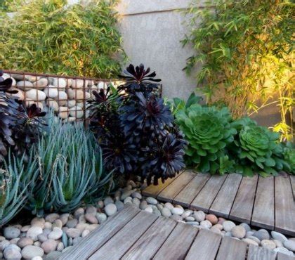 Gravier décoratif et galets pour enjoliver votre jardin 30 idées