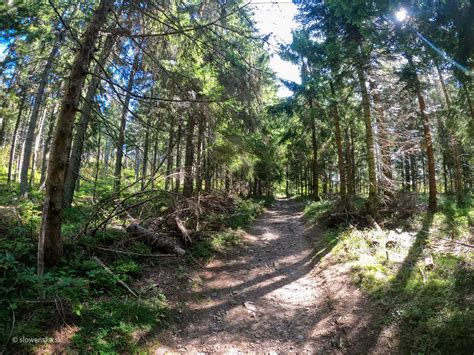 Kozí chrbát najvyšší vrch Starohorských vrchov slowensko sk