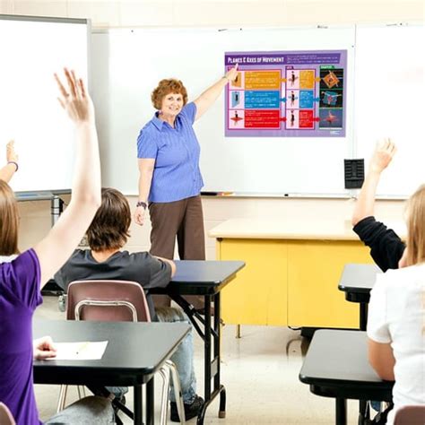 Planes And Axes Of Movements Poster Daydream Education