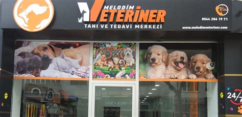 Eski Ehir Melodim Veteriner Klini I Veteriner Eski Ehir Veteriner