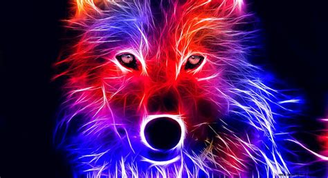 Awesome Wallpaper Galaxy Wolf Wallpaper