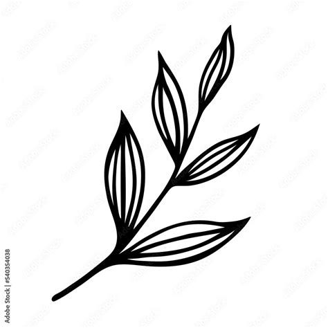 Tree Branch Vector Icon Veins On Leaves With A Stem Black Outline