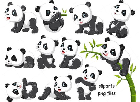 Baby Panda Cartoon Png Ubicaciondepersonas Cdmx Gob Mx