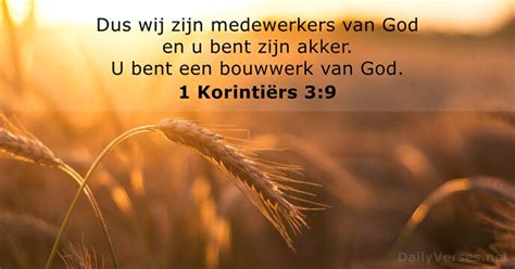 22 augustus 2023 Bijbeltekst van de dag 1 Korintiërs 3 9