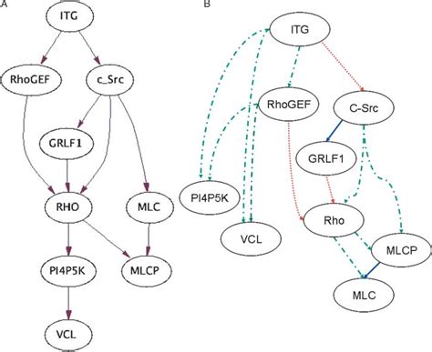 bayesian dependence a and mixture bayesian b inference of the gene