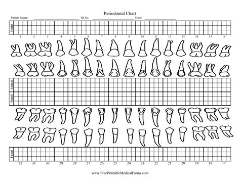 Pdf Printable Dental Charting Forms Printable Templates