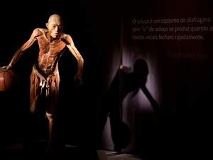 G1 Exposição corpos humanos reais estende temporada no Recife