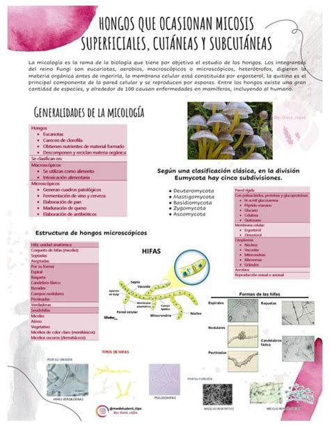 Hongos que ocasionan Micosis Superficiales Cutáneas y Subsutáneas
