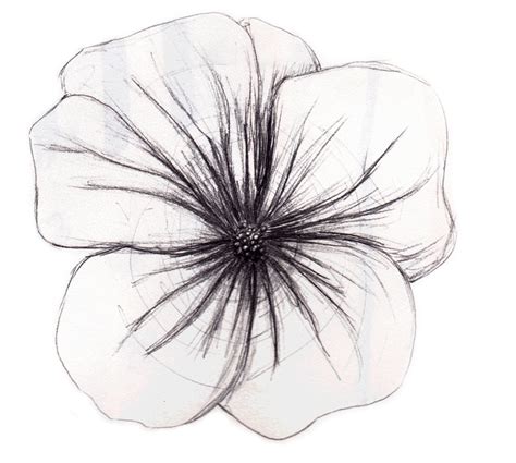 Flower Sketch Clip Art Library